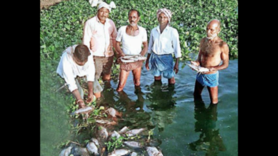 Muktapur: Herbicide triggers fish apocalypse in Yadadri's Muktapur lake ...