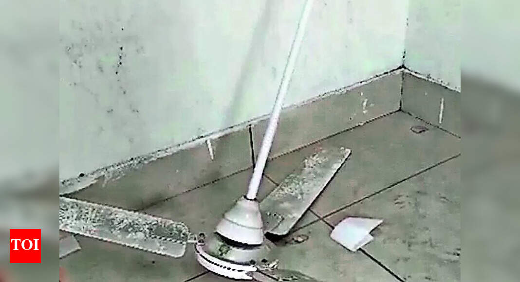 Phd: Ceiling Fan Crashes Down On Phd Student At Msu | Vadodara News ...