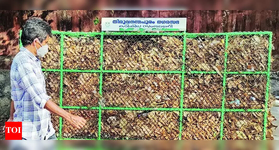 Corp Scouts For Agencies To Empty Dry Leaf Collection Bins ...