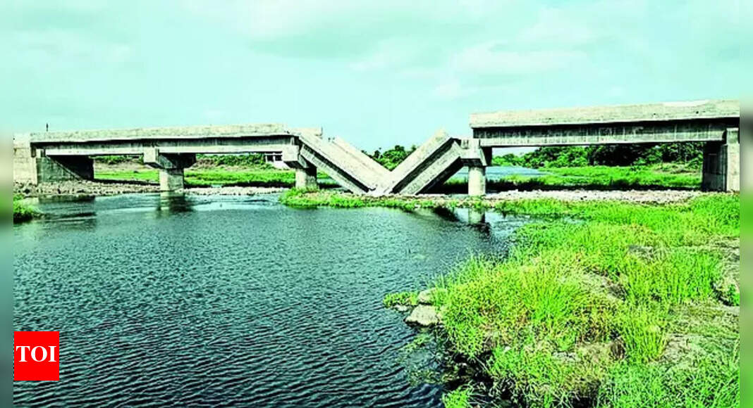 Bihar Bridge Collapse: Newly Built Bridge in Tapi district collapsed | Surat News - Times of India