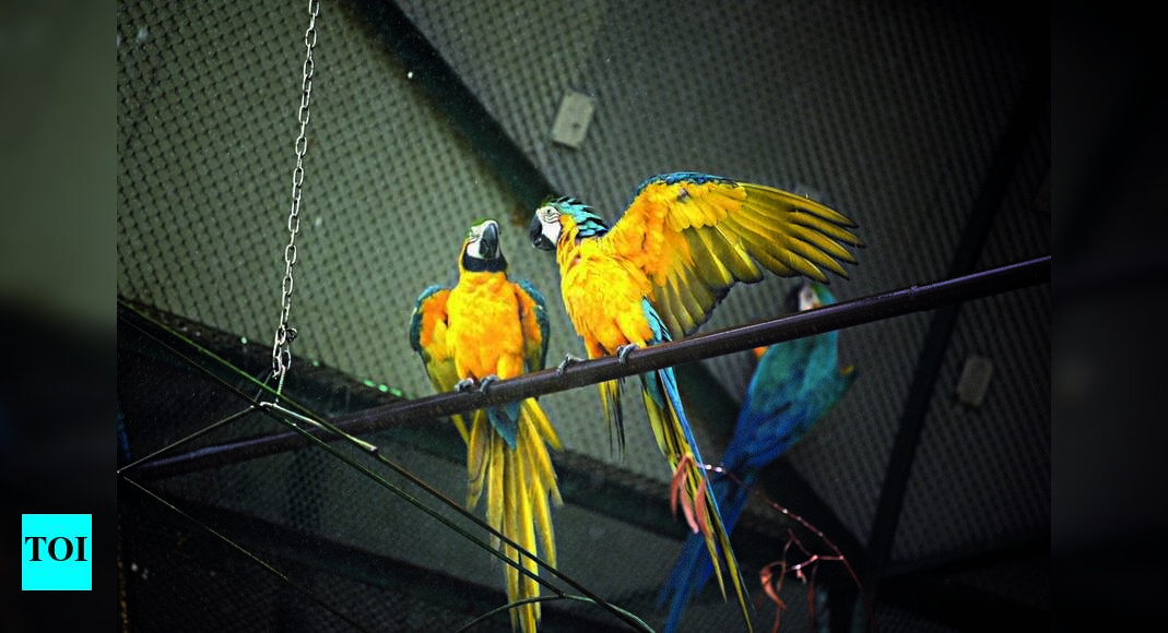 Here’s why Kolkata’s newest zoo should be on your bucket list - Times ...