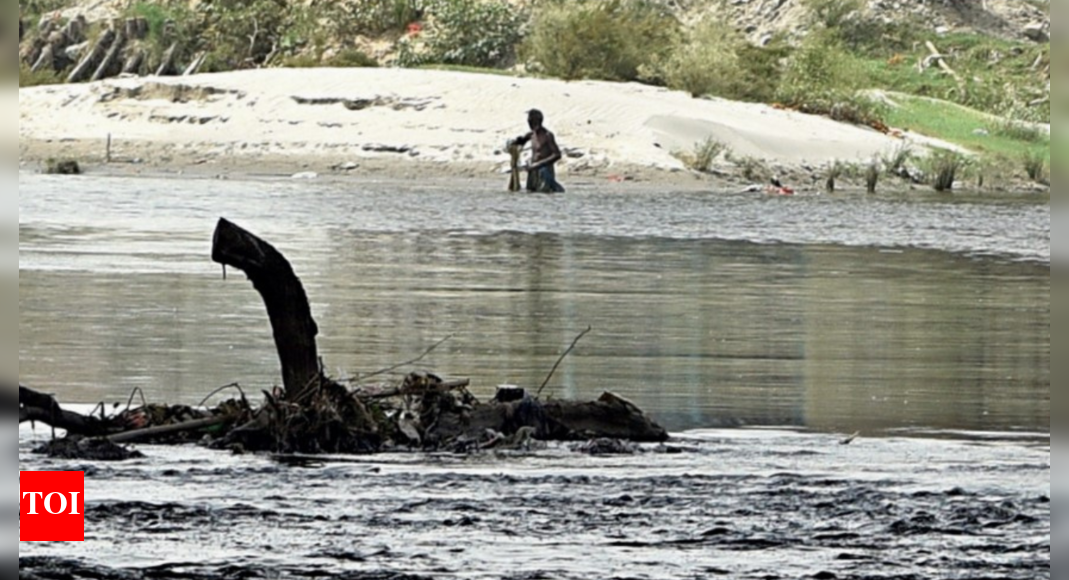 Yamuna flow 50% less than states' pact on minimal flow, say experts ...