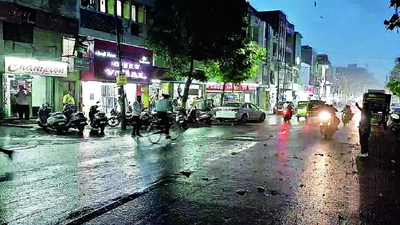 Heavy Rain Uproots 30 Trees In Vadodara, 1 Injured | Vadodara News ...