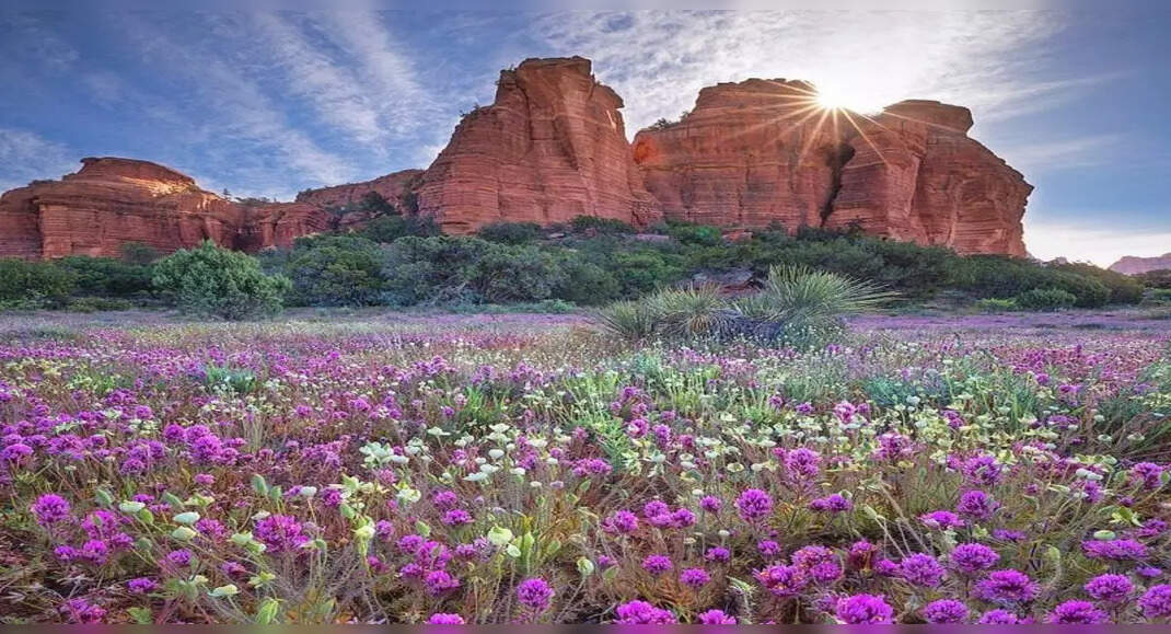 These are the world’s prettiest hotels! | Times of India Travel