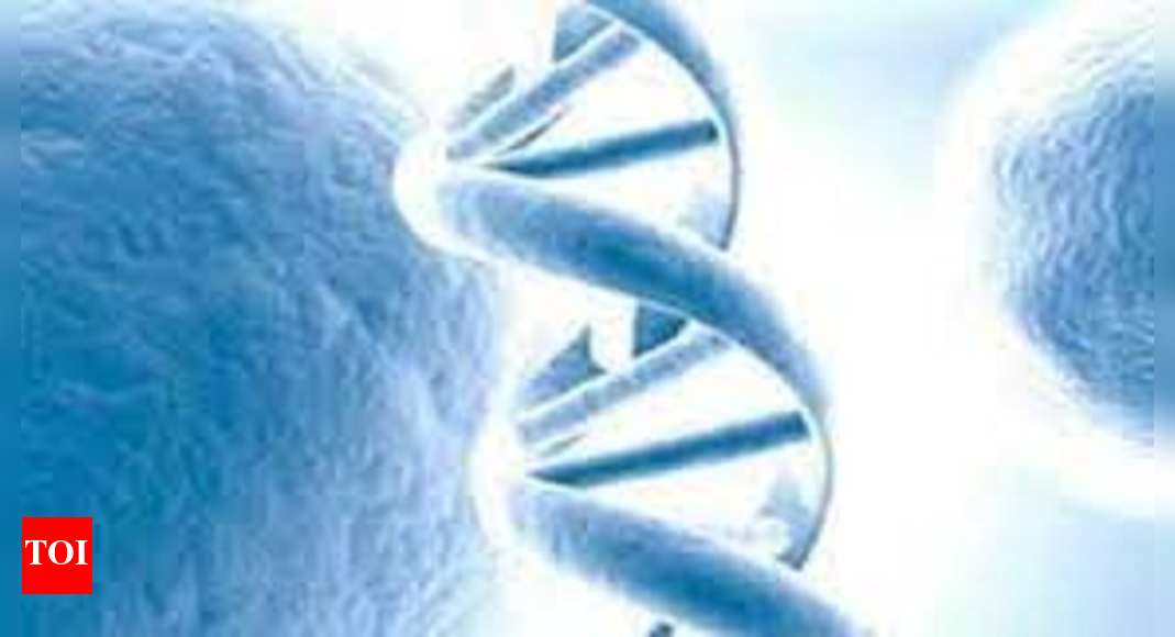 Priority Being Given To Dna Tests Of Bodies With Specific Claims ...