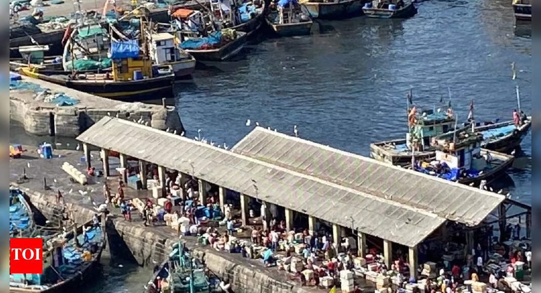 Hc Seeks Reply In Pil Against ‘unhygienic’ Sassoon Docks | Mumbai News - Times of India