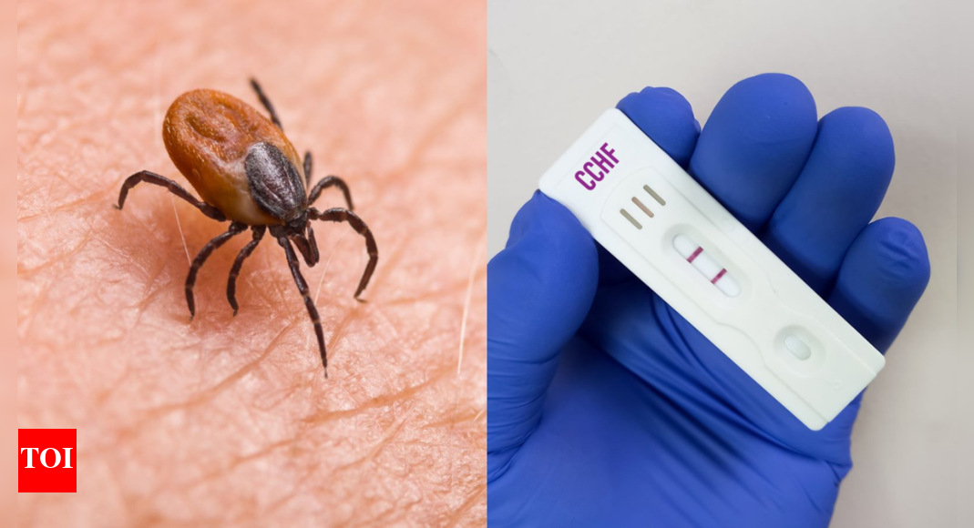 Virus UK Scientists Warn Of deadly Virus Due To Climate Change That virus-uk-scientists-warn-of-deadly-virus-due-to-climate-change-that