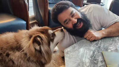 Mohanlal’s photo with his pet dog Simba is the best picture you will ...