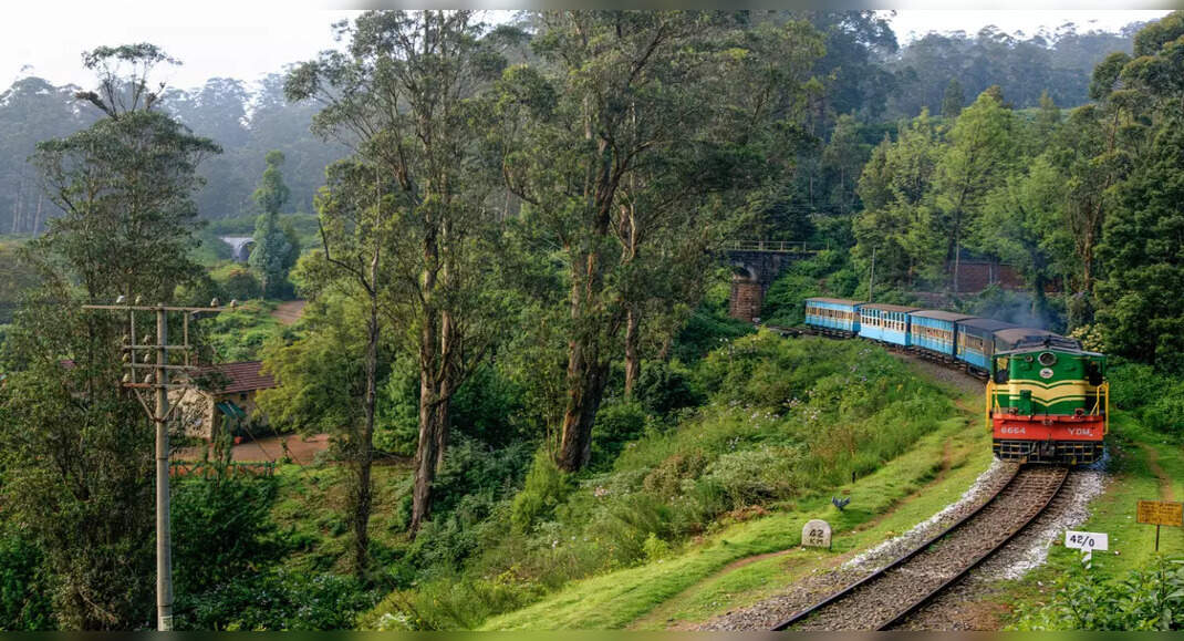 Is the scenic town of Lovedale as good as Ooty?, Tamil Nadu - TimesTravel