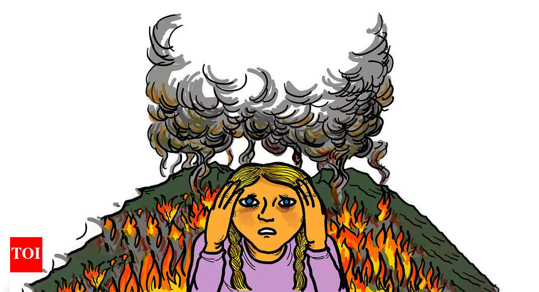 Why it's too late to prevent wildfires - Times of India