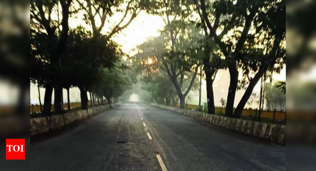 Row Over Civic Body Nod To Rename Vip Rd | Raipur News - Times of India