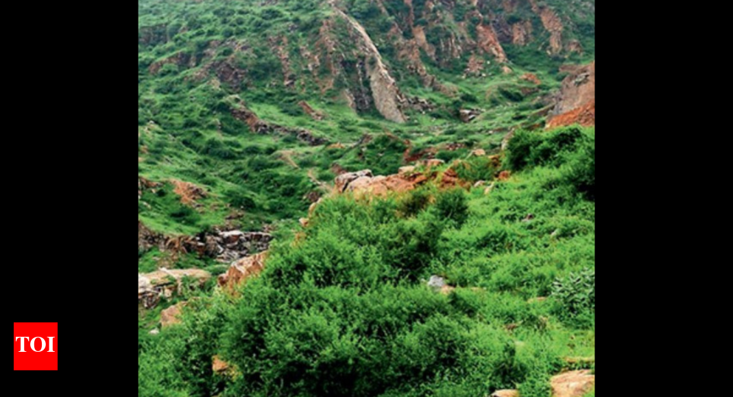 8% of Aravali hills gone since 1975, 22% loss likely by 2059: Study ...