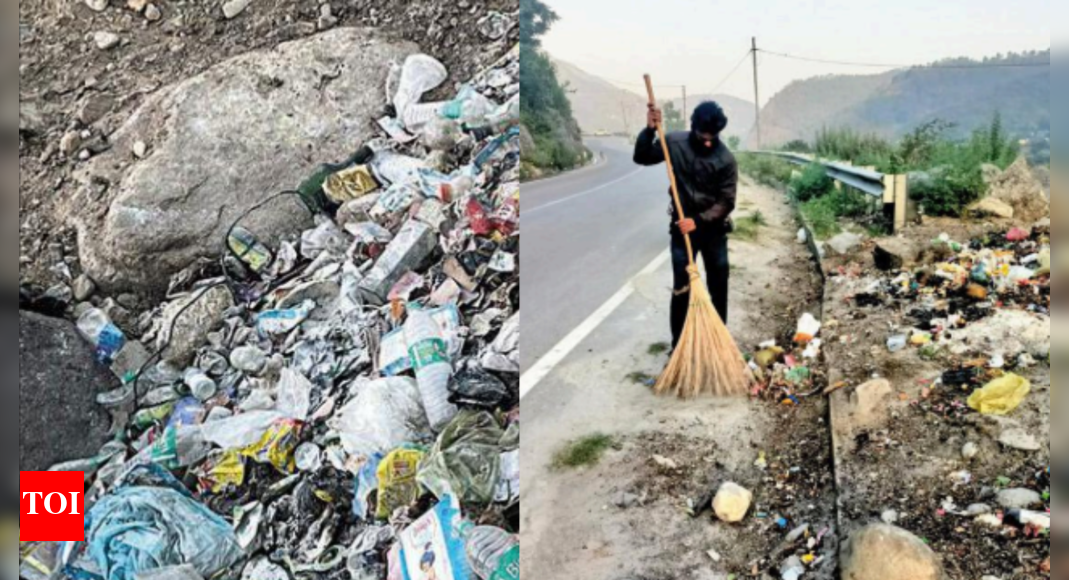 Figures of trash generated at Char Dham 'underestimated': Experts ...