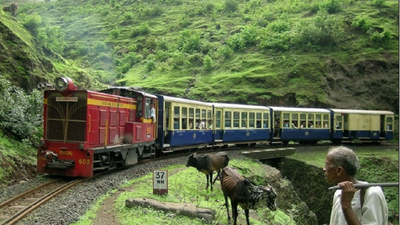 Matheran toy train summer revenue rises 40%, ridership grows by 17% ...