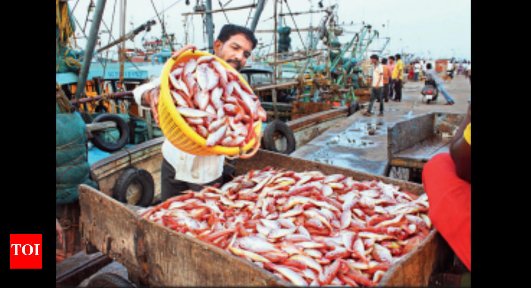Ap’s Seafood Export Logs Major Growth | Visakhapatnam News - Times of India