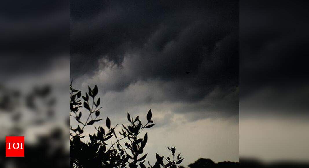 Short spells of rain uproot trees, power supply disrupted | Goa News ...