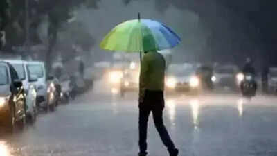 Chennai rain: School holiday declared in 6 districts | Chennai News - Times of India
