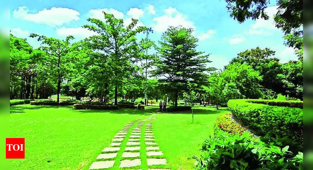 Ghmc: Ghmc Plans To Plant 1 Cr Saplings This Year | Hyderabad News ...