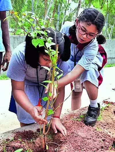 Harithotsavam: Harithotsavam: Kcr To Inaugurate Sapling Plantation Fest Today | Hyderabad News ...