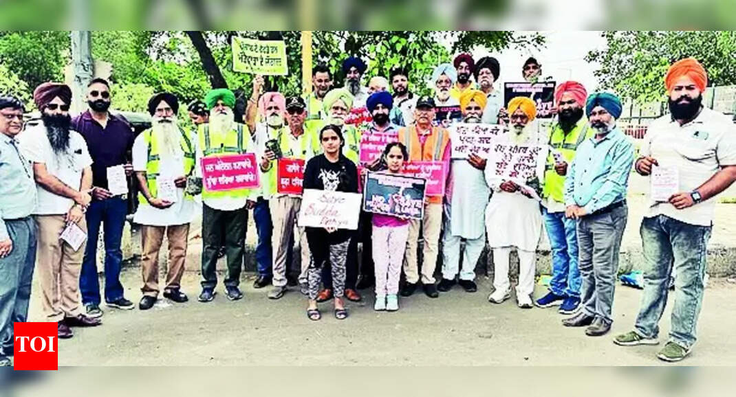 Buddha Nullah: Green Activists Continue Drive To Save Buddha Nullah ...