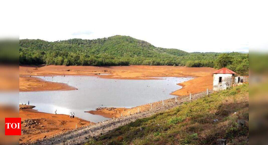 Rain relief: Mhaisal dam waters rise | Goa News - Times of India