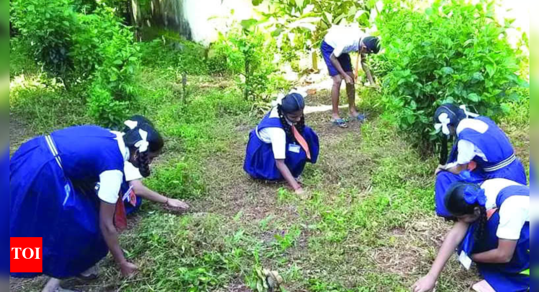 With the help of their students, 351 Goa schools grow nutrition gardens ...