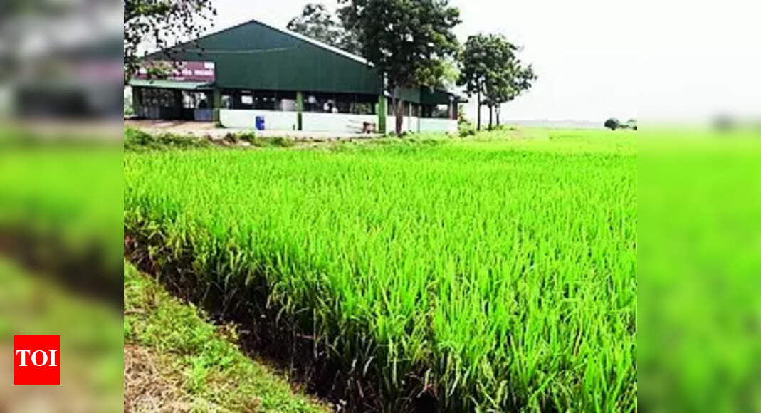 Pdkv: One Village From Eachvid District Picked Forboosting Agri Income ...