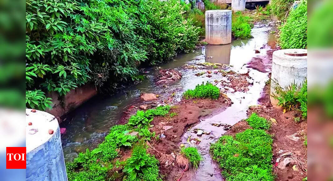 Wrd: Efforts On To Revive Polluted Channel | Coimbatore News - Times of ...