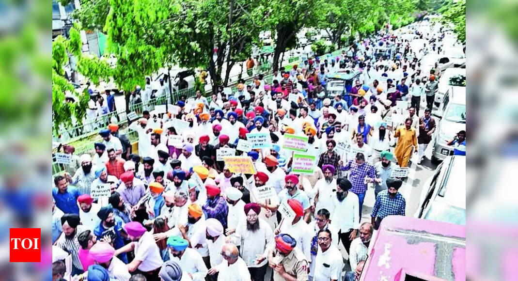 Protest Against Mann Govt For ‘vendetta Against Ajit, Hamdard ...