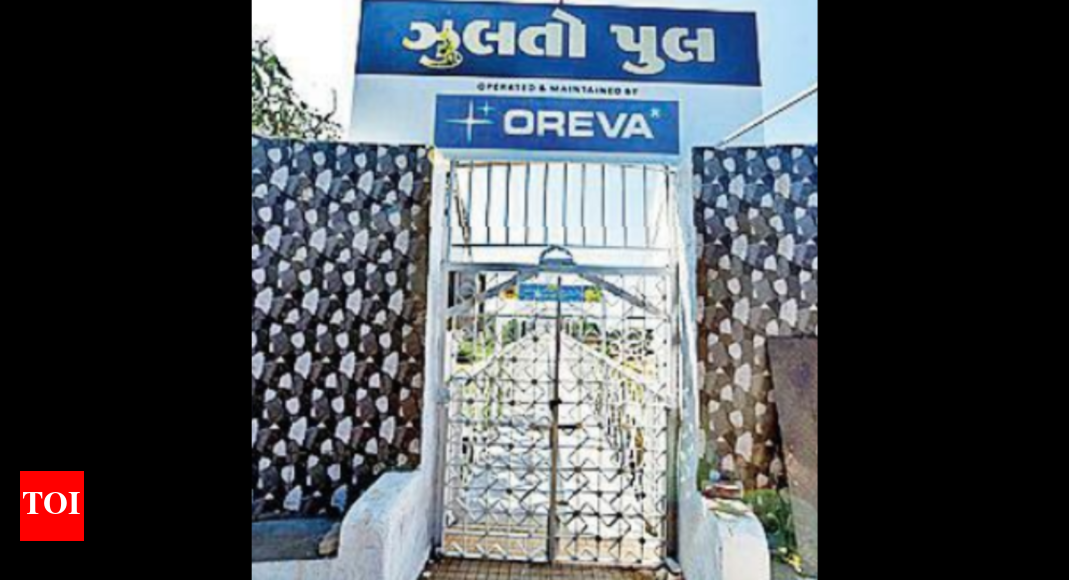Oreva Group MD seeks bail from HC | Ahmedabad News - Times of India
