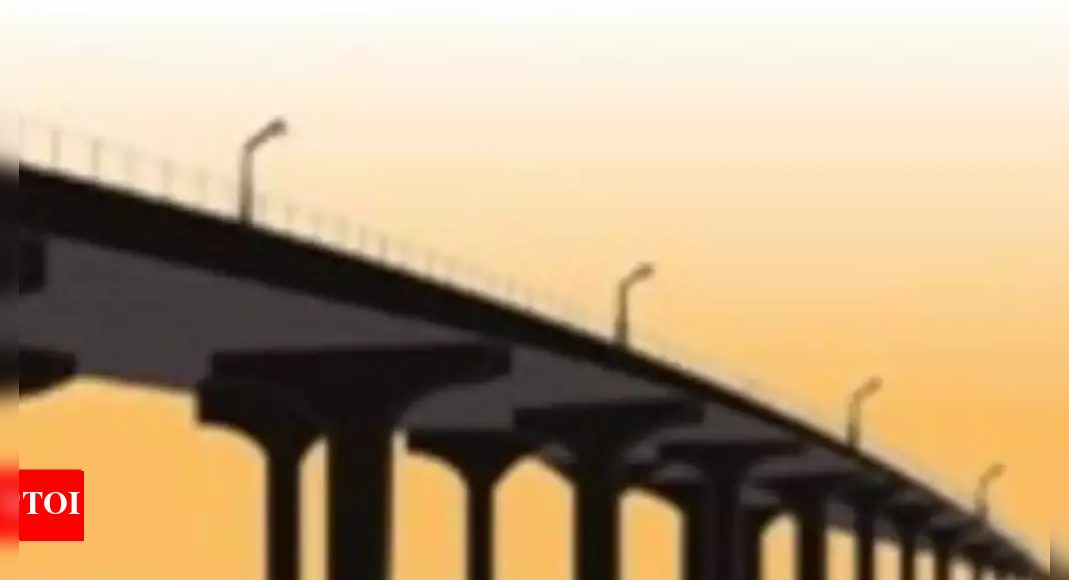 Centre opens 11 flyovers on Delhi-Panipat stretch of NH-44 | Delhi News - Times of India