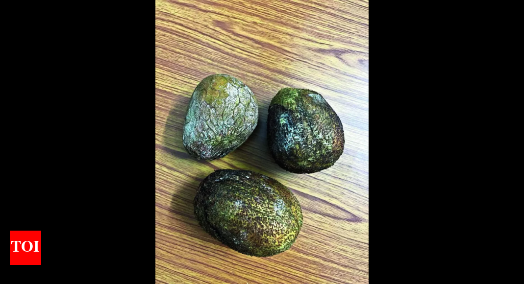 3 Elephant ‘pearls’ Seized, 4 Who Tried To Sell For ₹1cr Held | Chennai ...