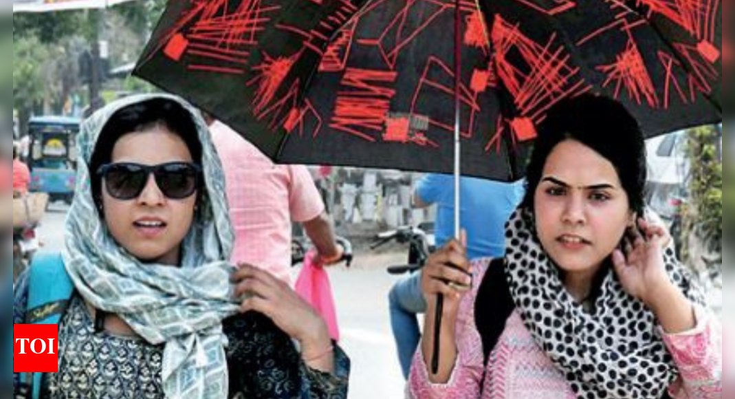 Bihar Heatwave News: Central team in Bihar to review heatwave situation ...