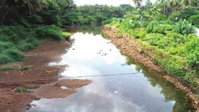 Anjunem dries, Goa stares at water crisis if rains play truant | Goa ...