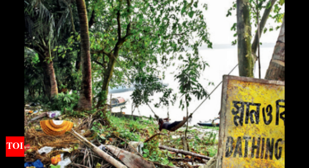 Civic: Civic Body Plans Urban Plantation On Hooghly, Adi Ganga Banks ...