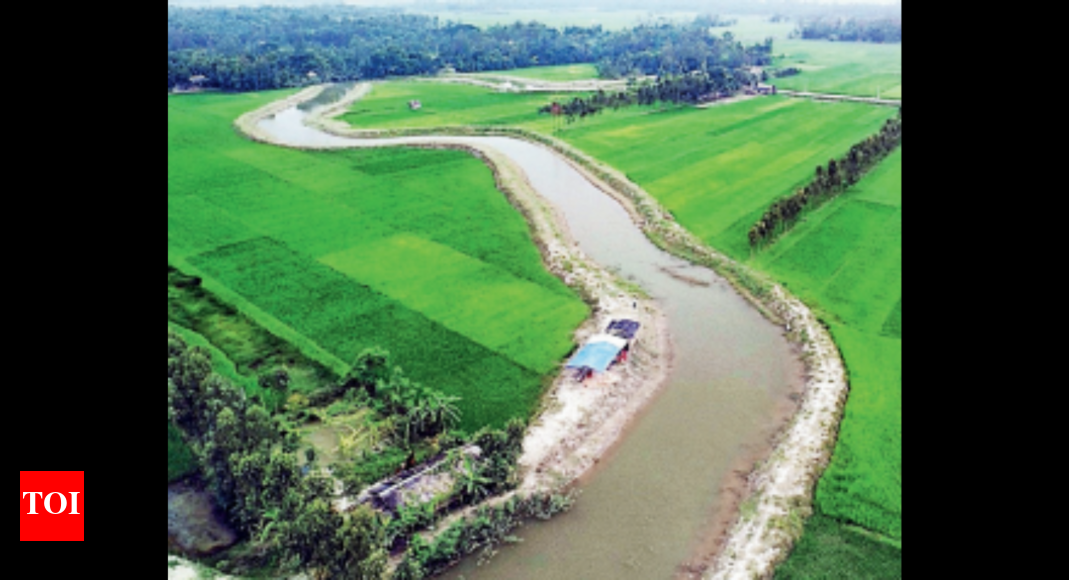 World Bank’s 1k-cr Grant For Sundarbans Eco Revival | Kolkata News ...