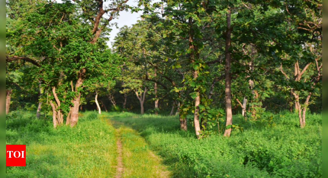 Rti: State forest dept cleared mine project in Pench in haste: RTI ...