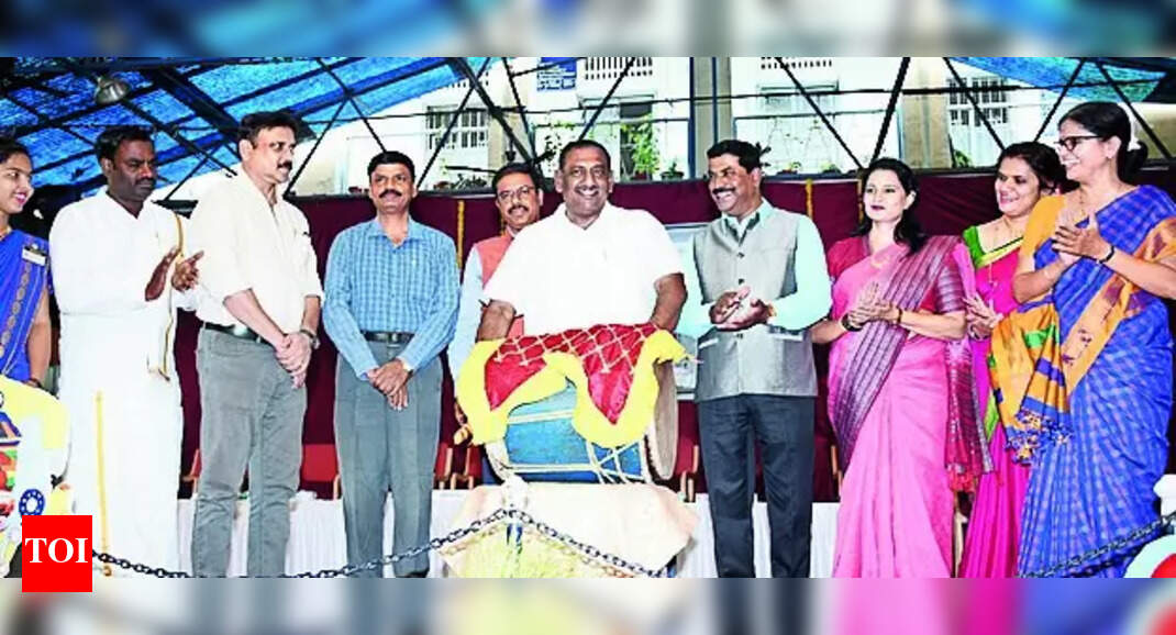 Mla Praises Students For Upholding Desi Culture | Mysuru News - Times ...