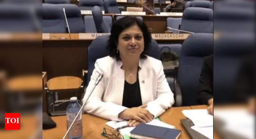 Icao: India's rep to ICAO, Shefali Juneja, elected its first VP | India ...