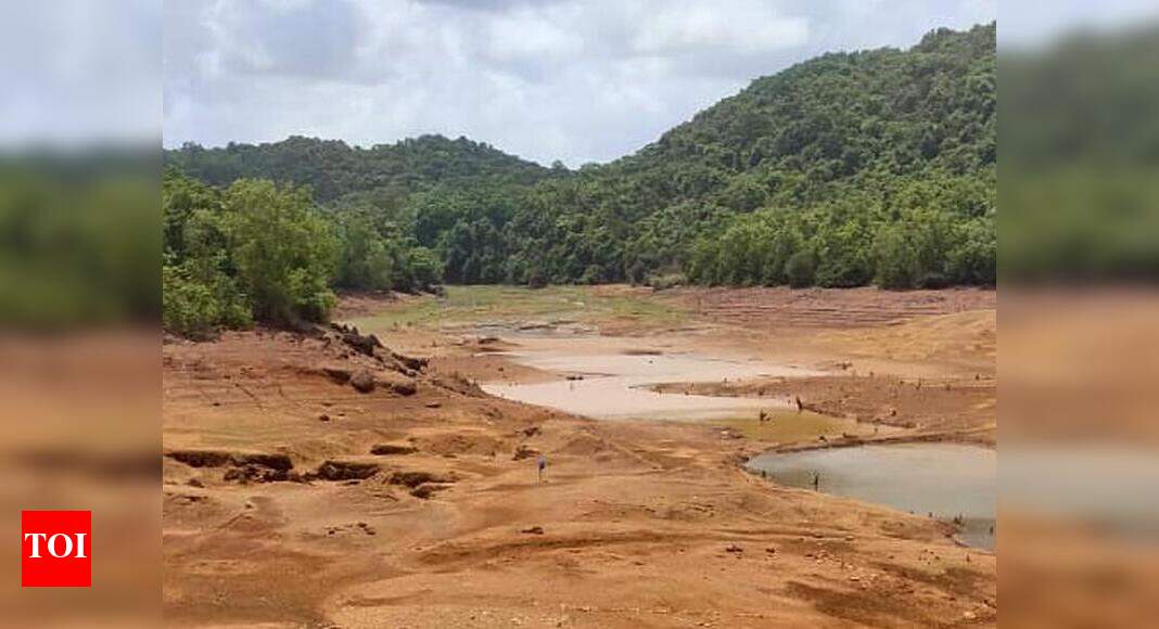 Mhaisal dam logs 6cm rise, boosts potable water supply | Goa News ...