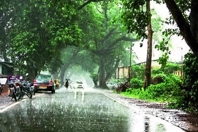 Rain Finally Arrives In Dam Catchment Areas Of Radhanagari, Kalammawadi ...