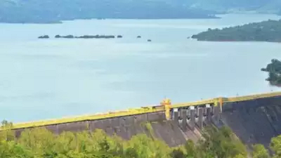 Koyna Dam Water Level At Lowest In Two Decades | Kolhapur News - Times ...