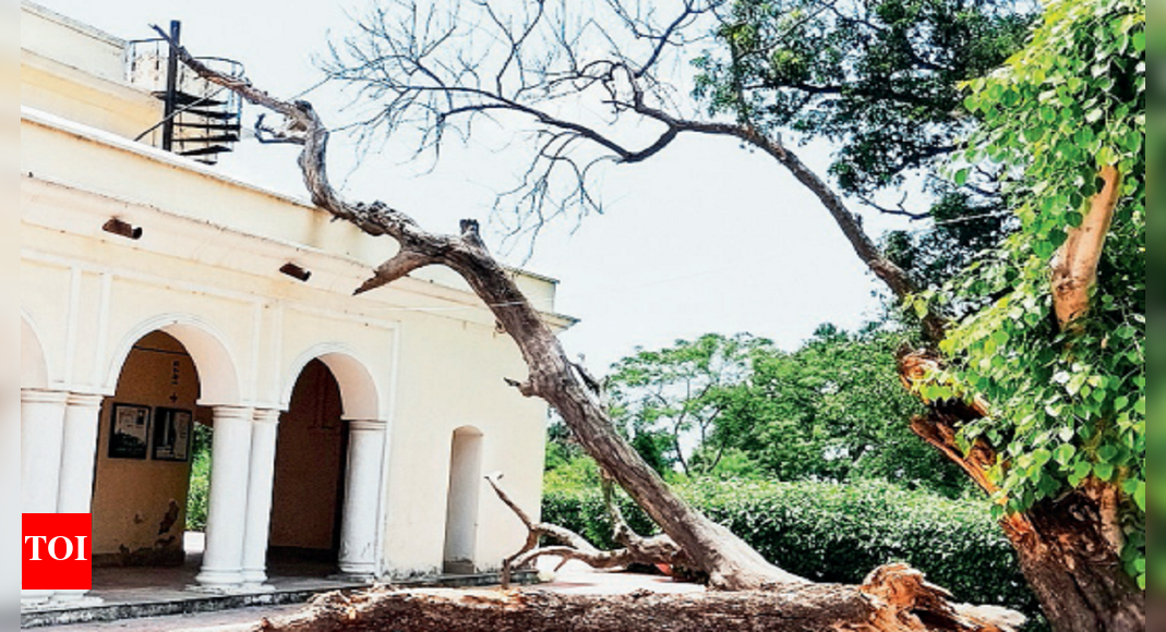 Sikh: 200 years of Sikh legacy fights an indifferent present ...