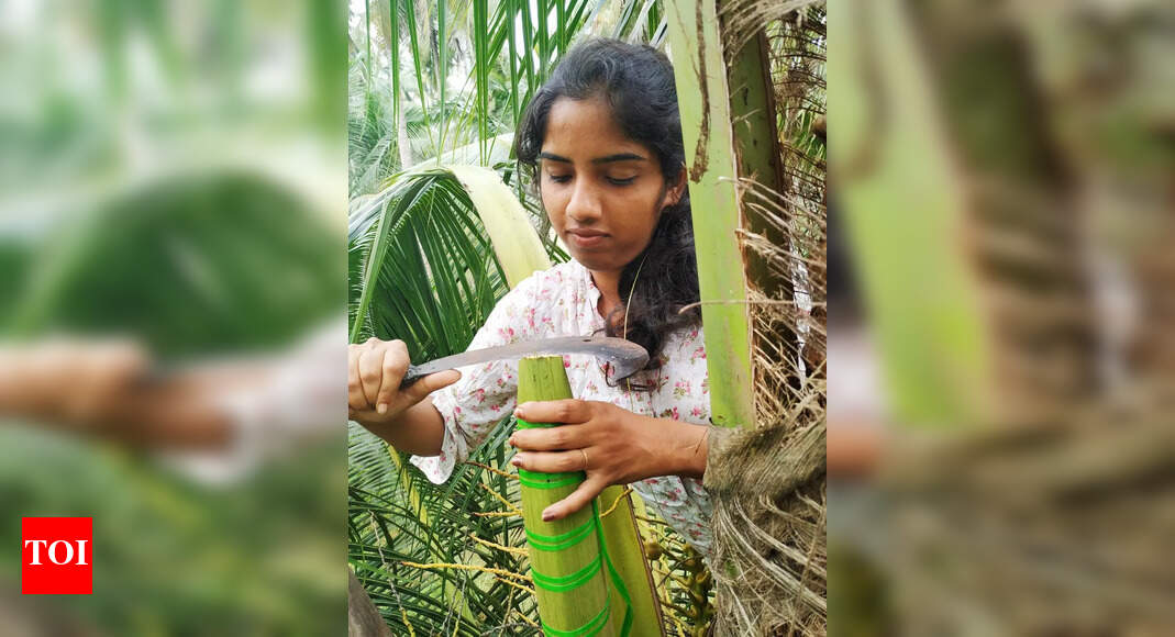 Goan girls take up coconut harvesting and toddy tapping | Events Movie ...