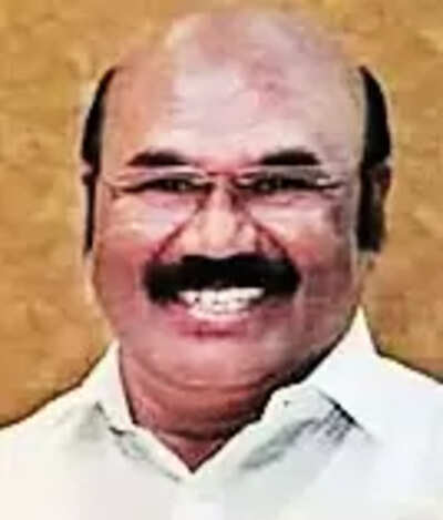Jayakumar: Some Dmk Allies Might Join Us | Chennai News - Times of India
