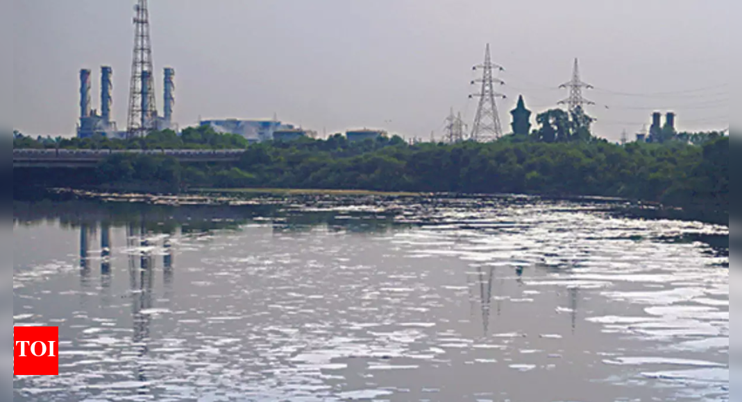 Yamuna cleaning: Committee identifies 3 more focus areas | Delhi News ...