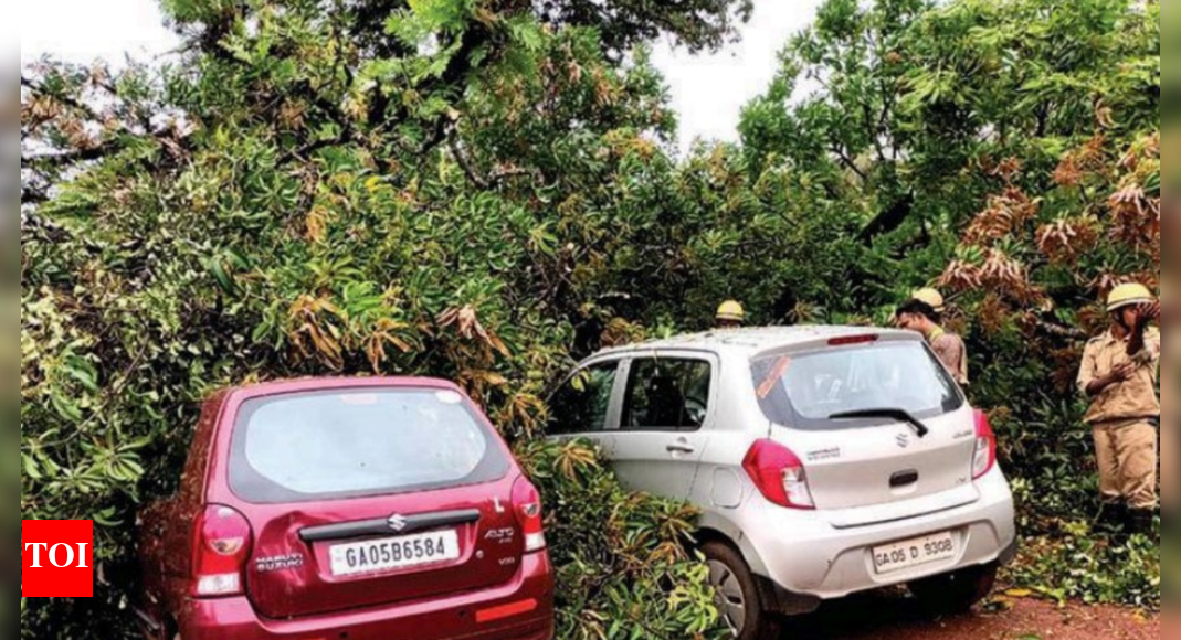 Monsoon mayhem begins: Rain, wind bring down trees, power lines in Goa ...