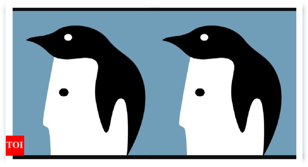 Optical Illusion: What you see reveals if you're a naive person - The ...