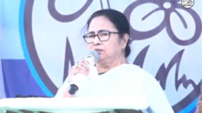 West Bengal panchayat polls: CM Mamata Banerjee accuses BSF of intimidating voters in bordering ...