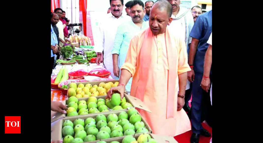 Yogi flags off first lot of Langda mango, chilli from IPH to Gulf ...